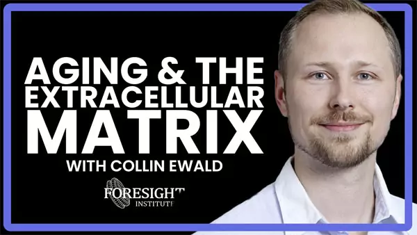 Aging & The Extracellular Matrix - Foresight