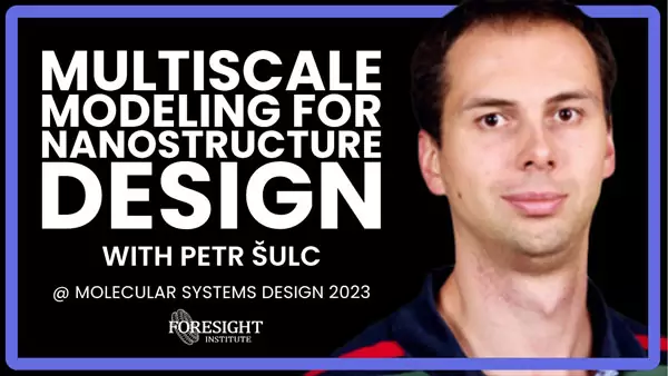 Multiscale Modeling for Nanostructure Design @ Molecular Systems Design Workshop 2023 - Foresight