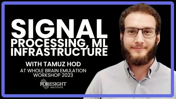 Signal Processing, ML Infrastructure @ WBE Workshop 2023 - Foresight