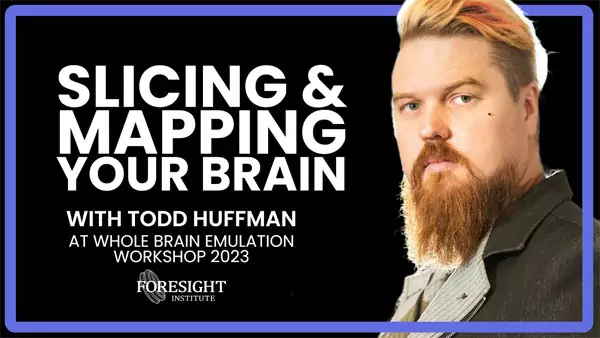Slicing & Mapping your Brain @ WBE Workshop 2023 - Foresight