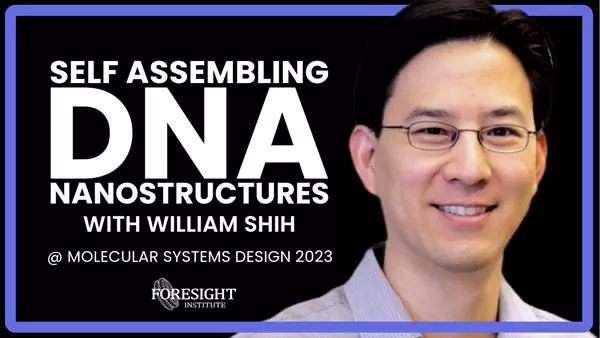 Self Assembling DNA Nanostructures @ Molecular Systems Design Workshop 2023 - Foresight