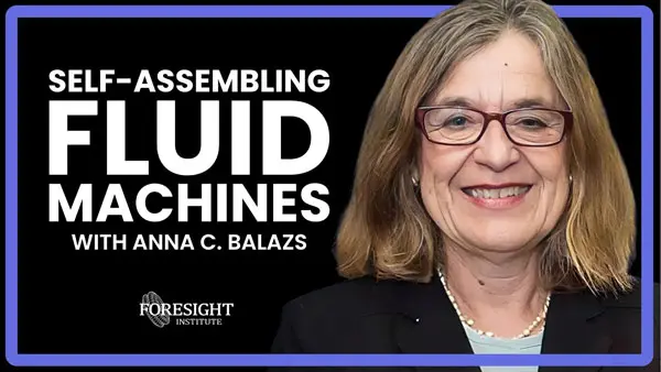 Fluid Flows Act As Machines That Autonomously Assemble Hierarchical 3D ...